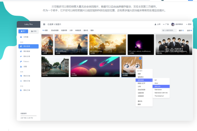 Lsky Pro 企业版兰空图床程序网站PHP源码-软希网58soho.cn-资源下载平台