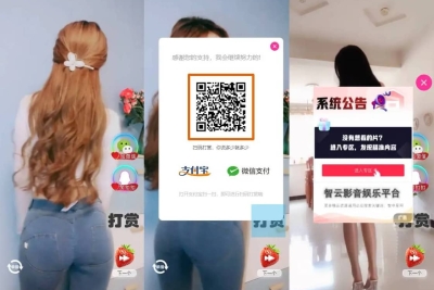 H5随机短视频滑动版带打赏源码，可封装APP软件或嵌入式观看-软希网58soho.cn-资源下载平台